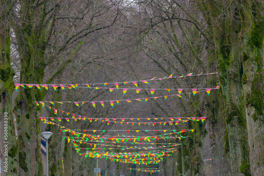 Carnival in Holland (Carnaval) Pennant flags red, yellow and green ...
