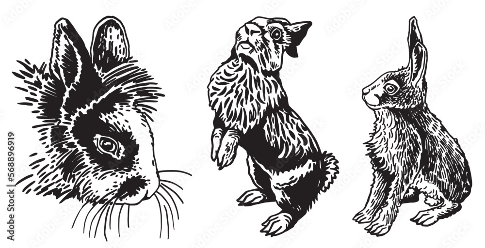 Graphical set of rabbits isolated on white background,vector ...