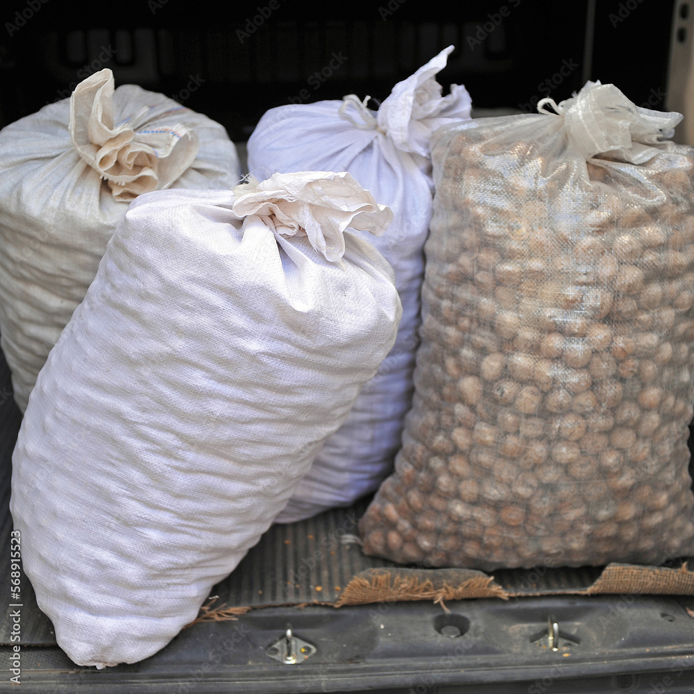 Sacks full of nuts in the back of a transport van. Take sacks of ...