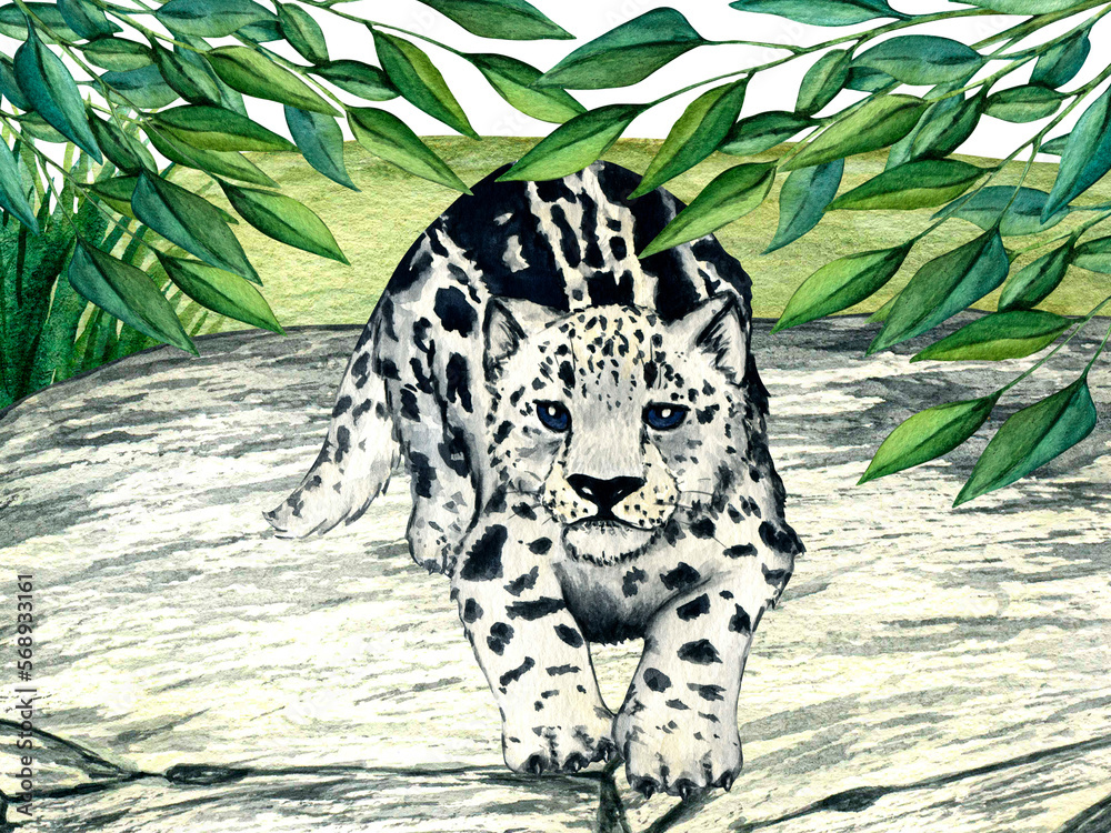 Watercolor wild forest animals: snow leopard kitten, irbis on stone. Woodland hand-painted ...