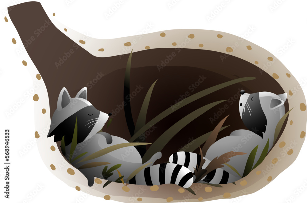 Raccoon sleeping or hibernating in its den or burrow. Cute animal ...