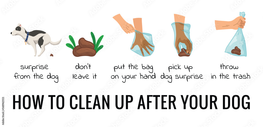 Dog poo clean up steps infographic set. Vector poster about hygiene ...