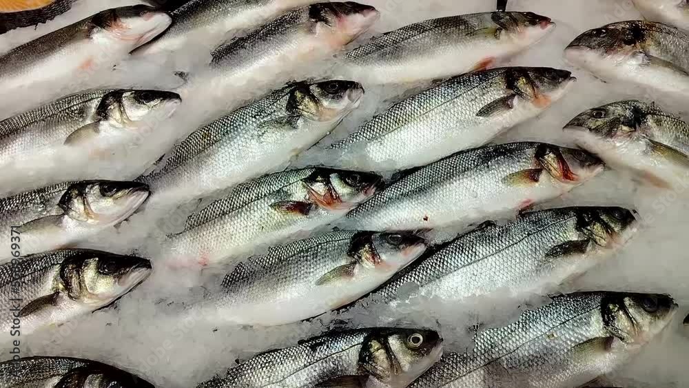Sea fresh sea bass fish lies in the ice on the supermarket counter ...
