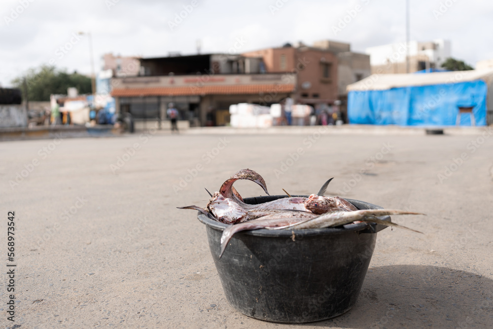 fish bucket in the street Stock Photo | Adobe Stock