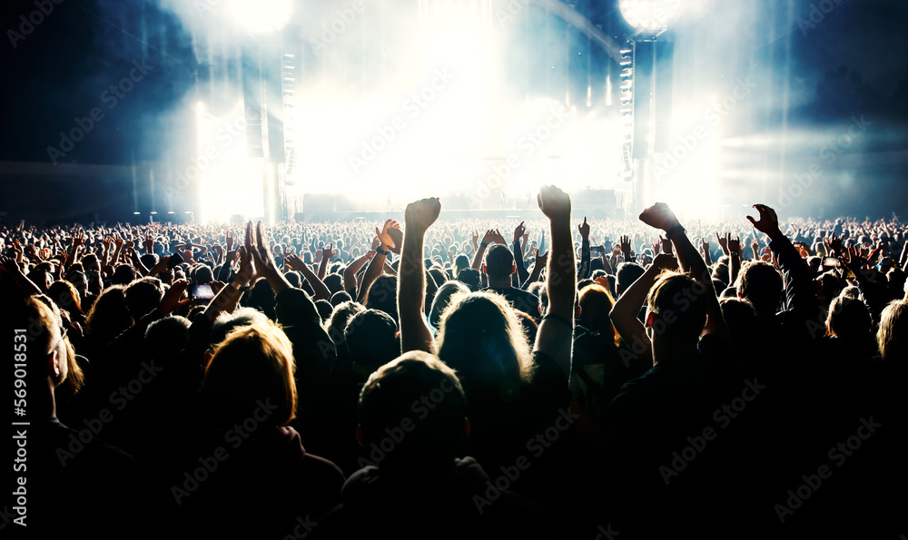 Happy Audience At A Concert