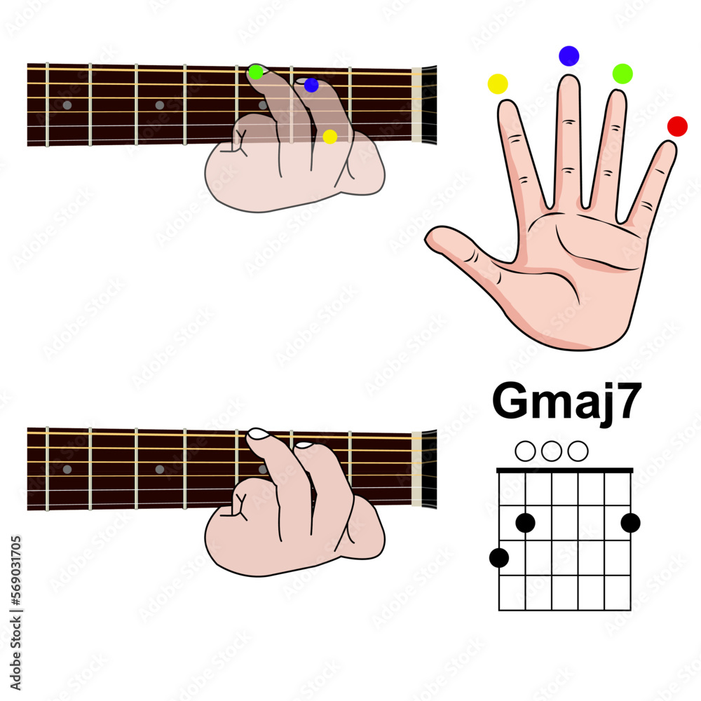 Guitar Chord Basic and Hand Position for Guitar Chord vector. isolated ...