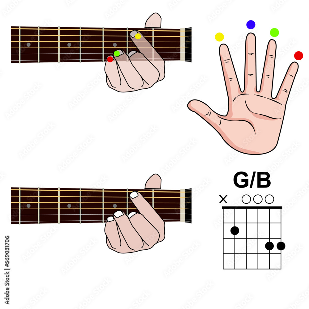 Guitar Chord Basic and Hand Position for Guitar Chord vector. isolated ...