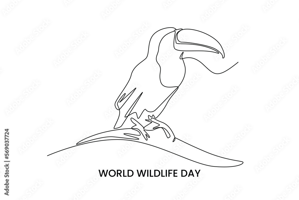 Toco Toucan Line Drawing