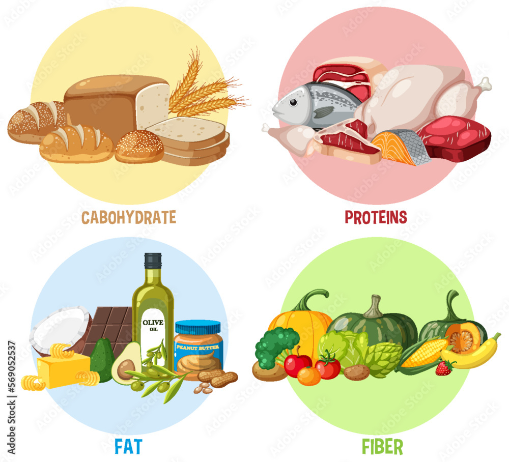 The four food groups Stock Vector | Adobe Stock