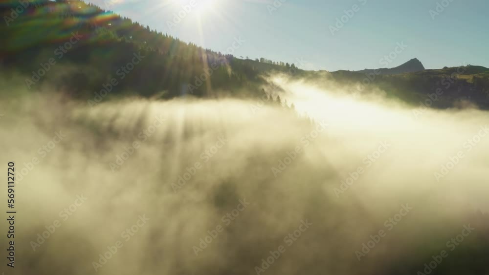 Vidéo Stock Dense foggy clouds cover large forests in highland of Alps ...