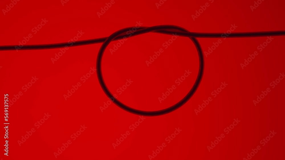 Hair that is tied into a round loop on a red background. Macro shot of ...