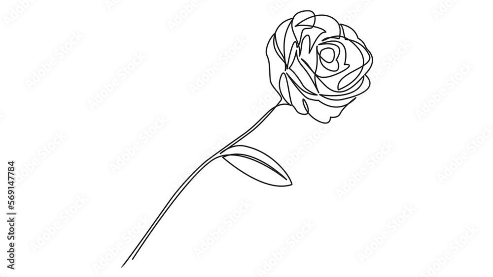 animated continuous single line drawing of a rose, line art animation ...