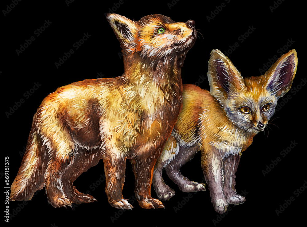 Drawing of two cute fox cubs of different types. Watercolor drawing ...
