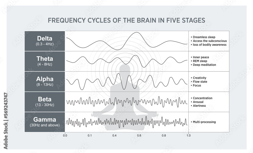 An oscillation diagram of the human brain with explanation. The types ...