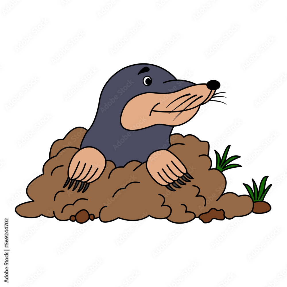 Cartoon cute mole. Vector illustration of a mole in a hole Stock Vector ...