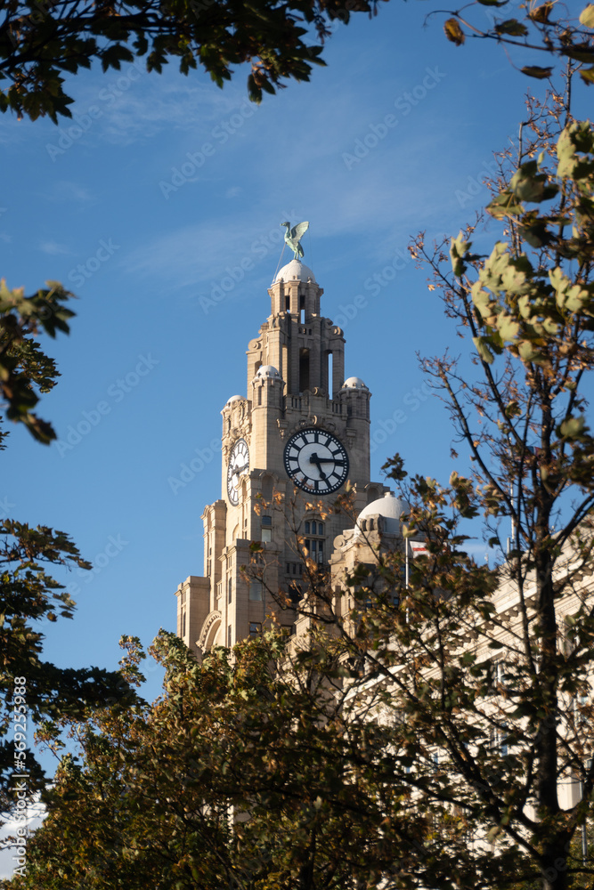 Liverpool, United Kingdom: Liver Bird on Royal Liver Building clock ...