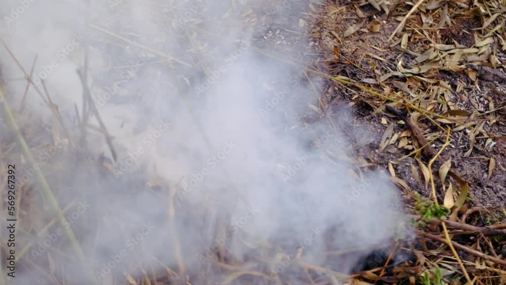 wildfire, rural fire, burning conflagration, burning ash, setting ...