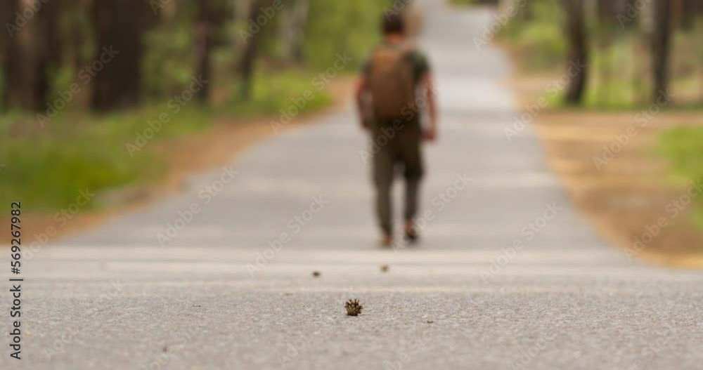 Trekking. A bearded man in khaki clothes walks along the road. A ...