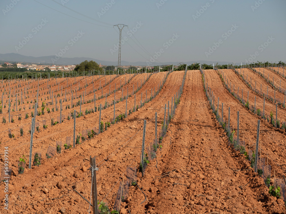 The Tilled Field