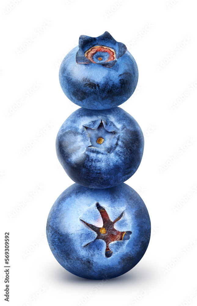 Isolated beries. Three blueberry berry fruits on top of each other ...