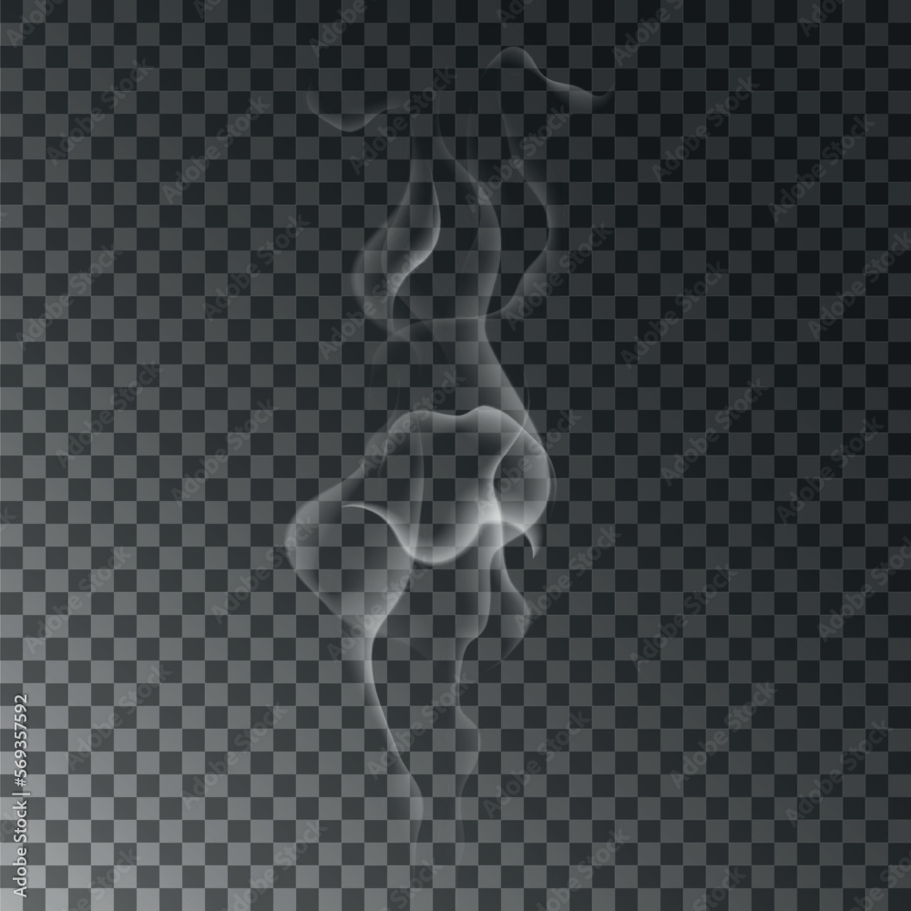 Vapor waves isolated on transparent background. Vector illustration ...