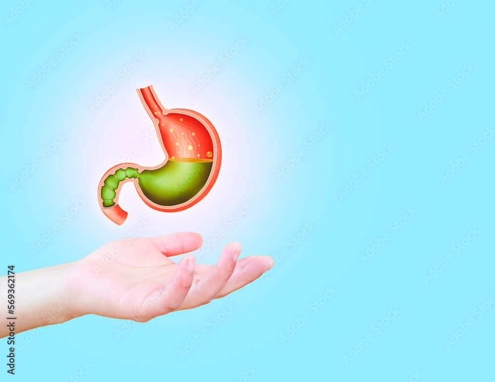 Stomach ache and epigastric abdominal pain, fire in the stomach ...