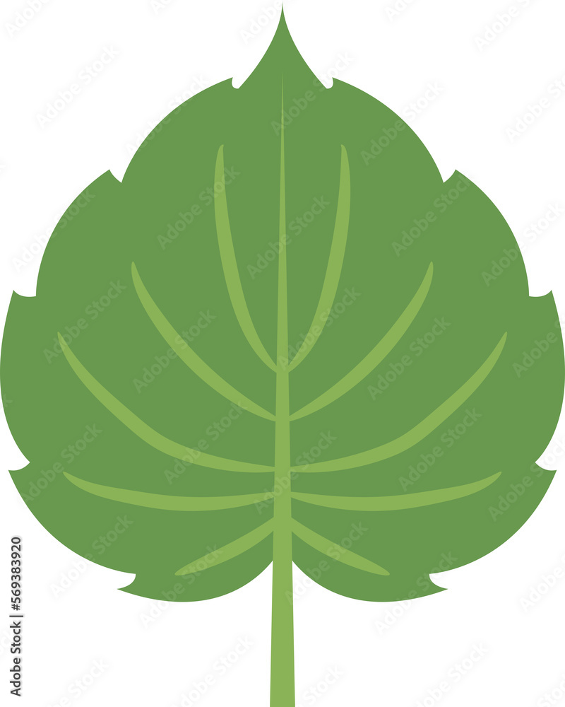 leaf png graphic clipart design Stock Illustration | Adobe Stock