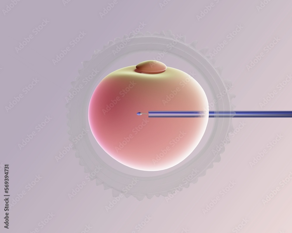 3D illustration of a scene injecting sperm into an egg. Human piezo ...