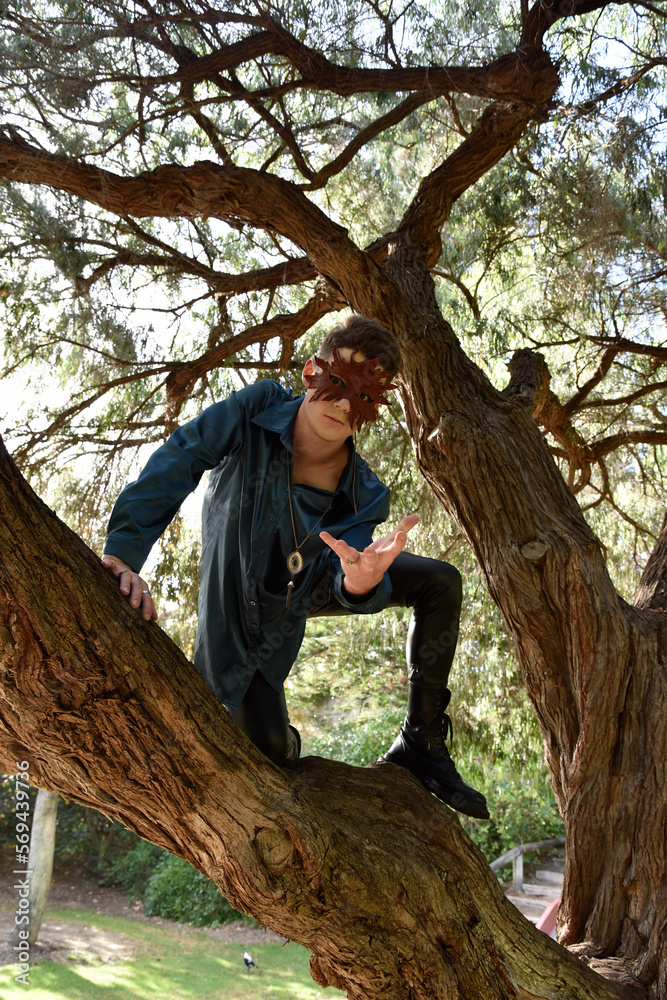 portrait of handsome masked man wearing fantasy medieval prince costume ...