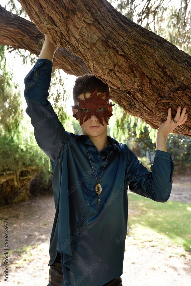 portrait of handsome masked man wearing fantasy medieval prince costume ...