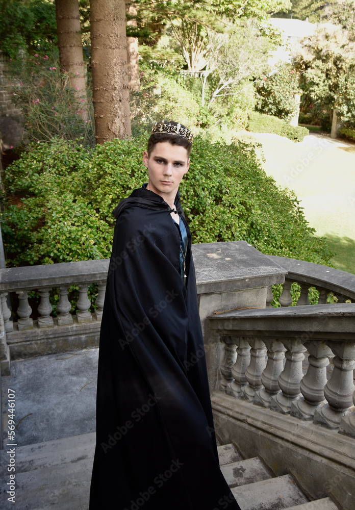 portrait of handsome brunette man wearing fantasy medieval prince ...