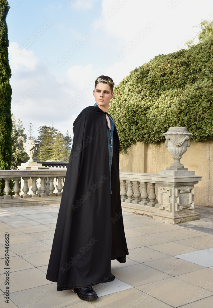 portrait of handsome brunette man wearing fantasy medieval prince ...