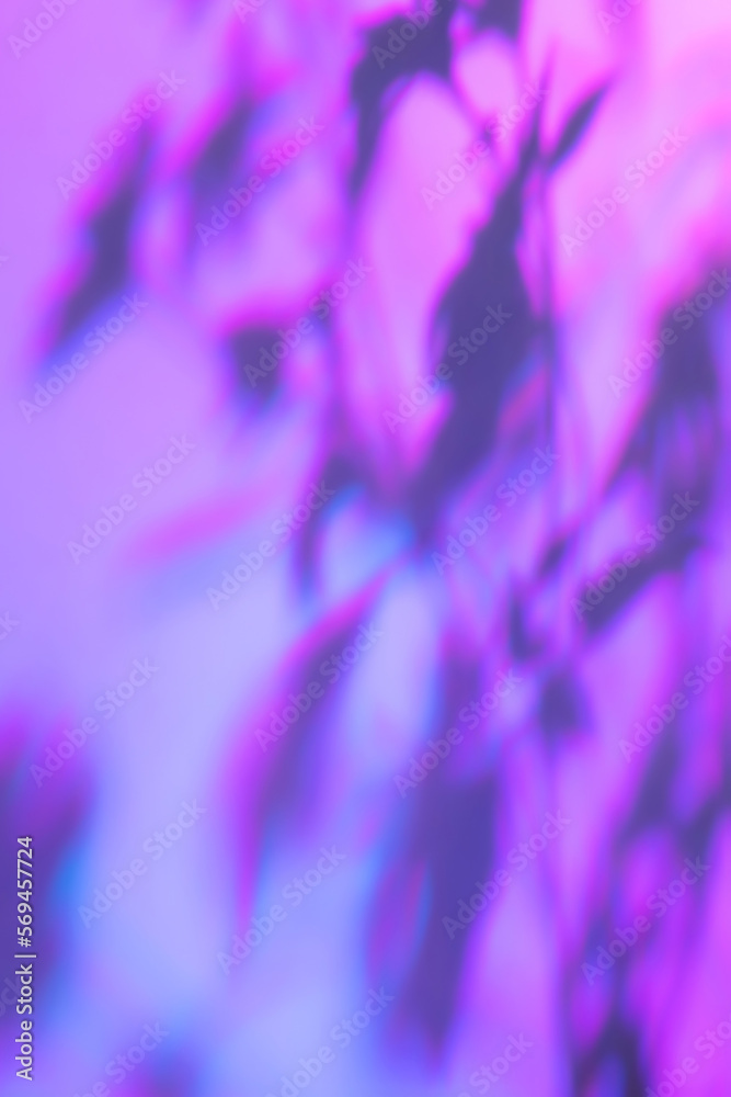 Abstract flowers and grass shadows on holographic purple pink wall ...