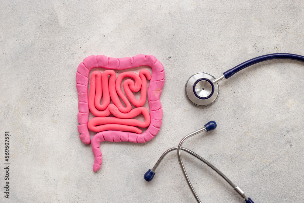 Digestive colon system health concept. Intestines shape made of ...