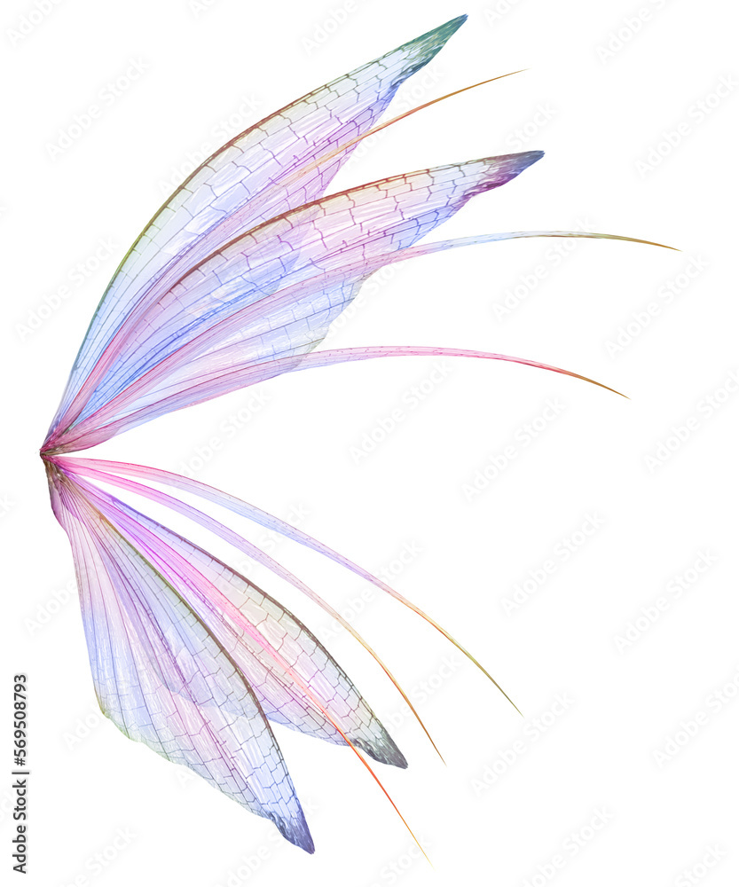 Transparent Fairy Wing Overlays By ATP Textures Stock Illustration | Adobe Stock