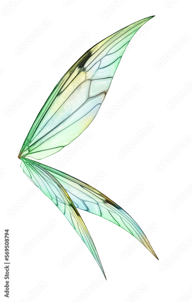 Transparent Fairy Wing Overlays By ATP Textures Stock-Illustration ...