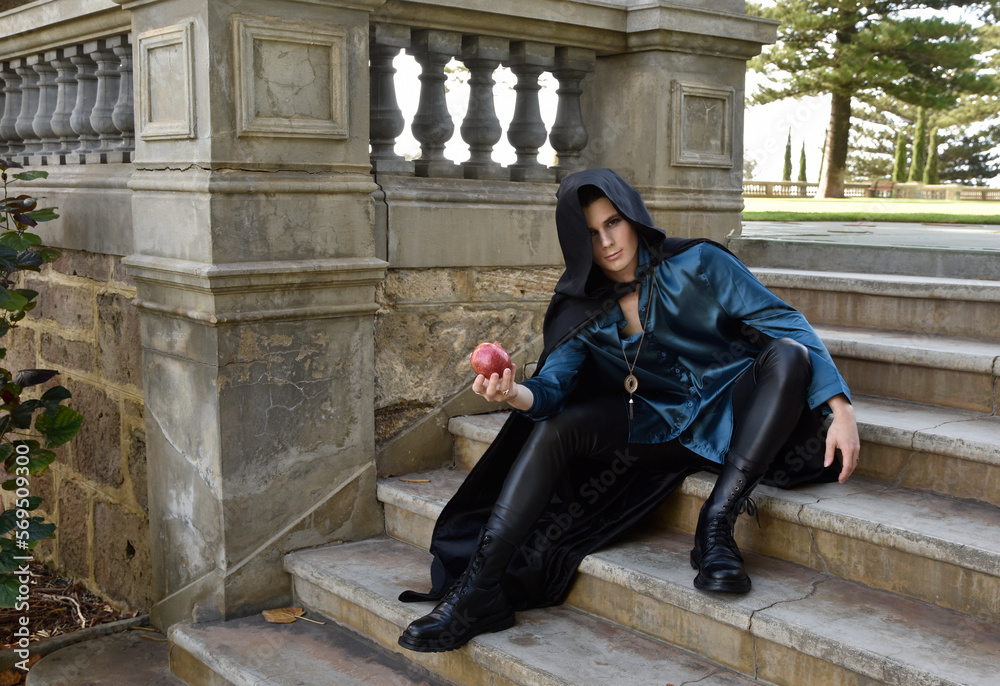 portrait of handsome brunette male model wearing fantasy medieval ...