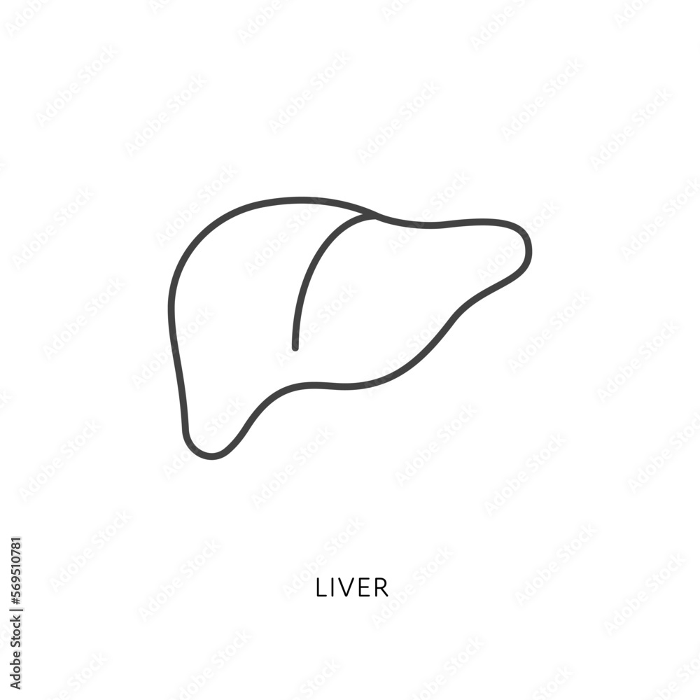 Outline style health care ui icons collection. Vector black linear ...