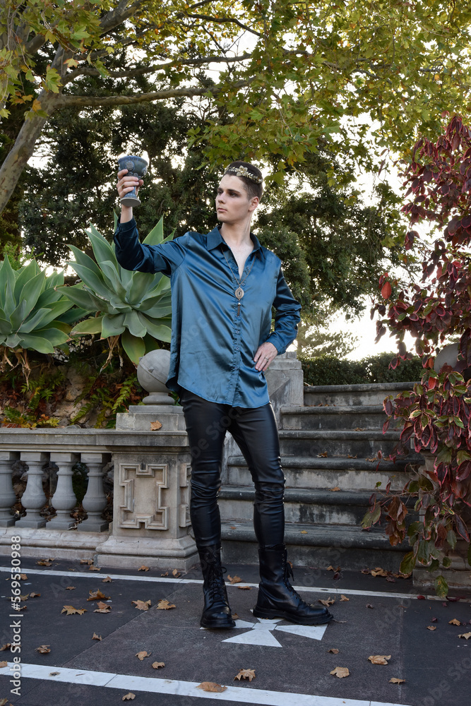 portrait of handsome brunette male model wearing fantasy medieval ...