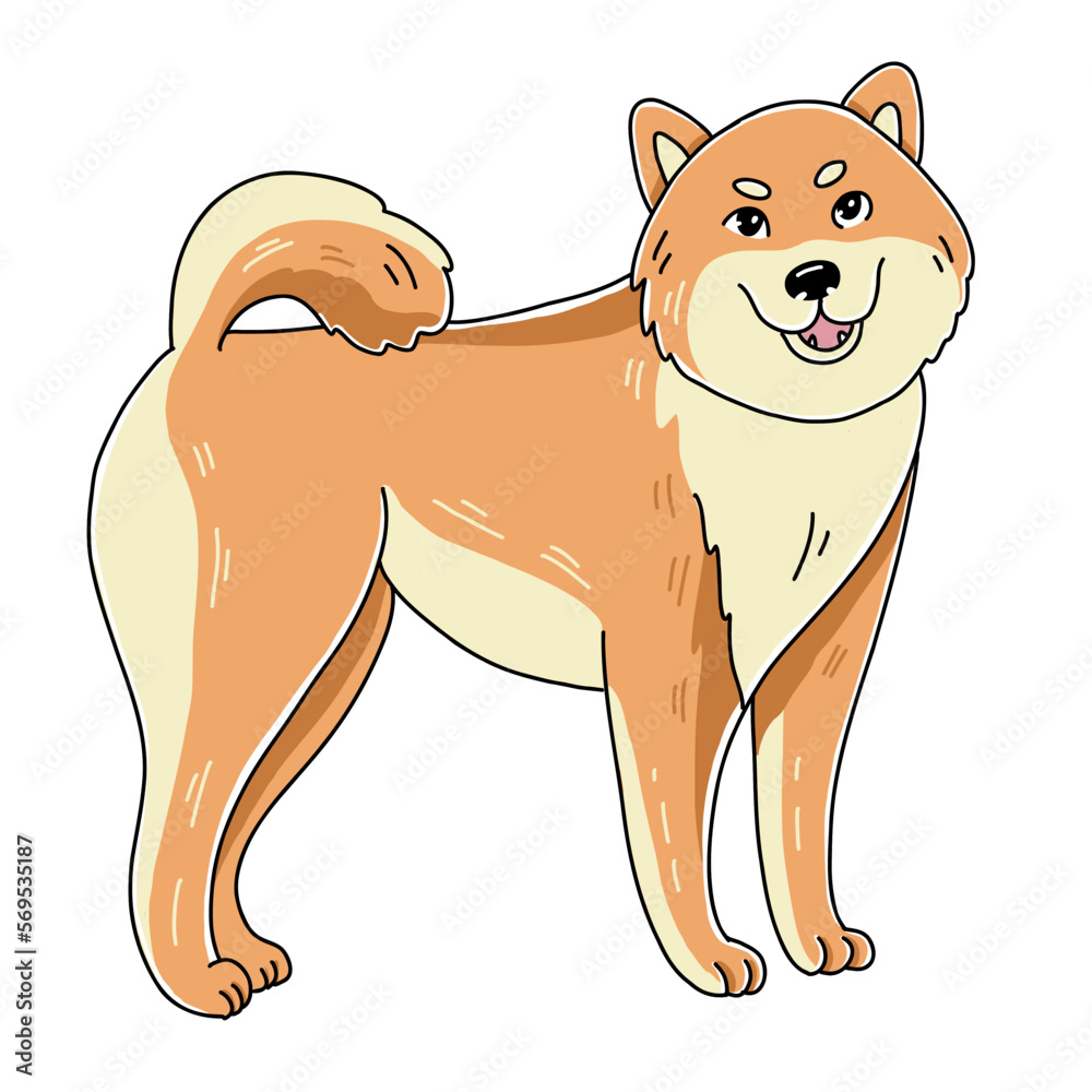 Japanese akita inu dog, vector illustration in cartoon style isolateted on white background ...