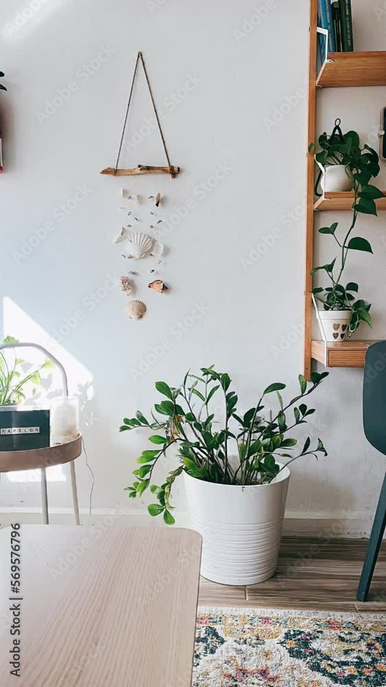 Vidéo Stock living room interior, plant, house, flower, interior, home ...