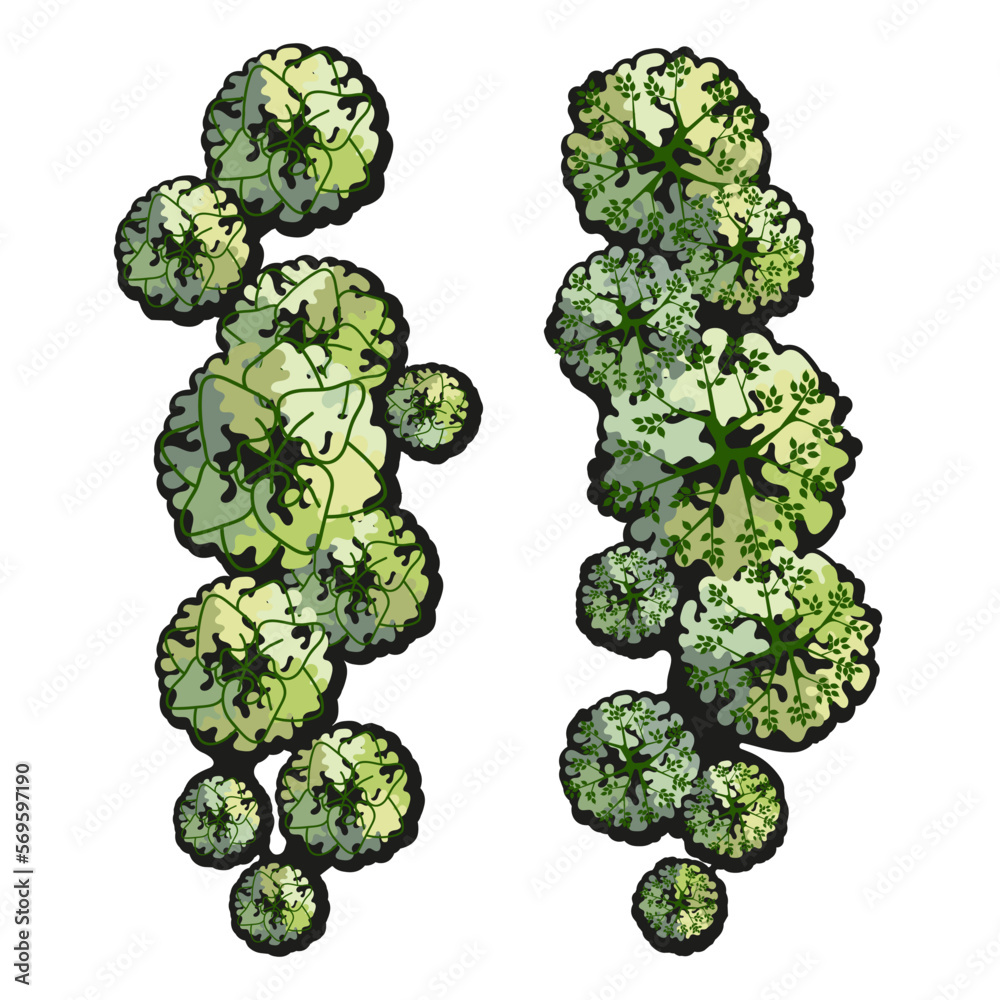 Group of trees for architectural floor plans. Entourage design. Various ...