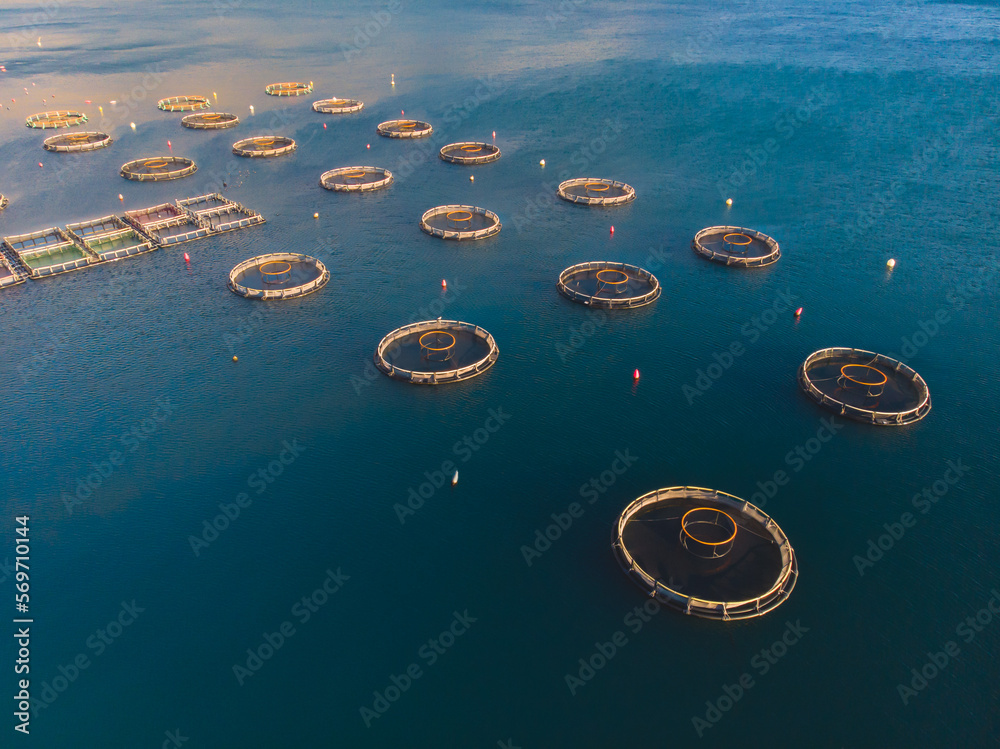 Aerial drone top view of sea fish farm cages and fishing nets, farming ...