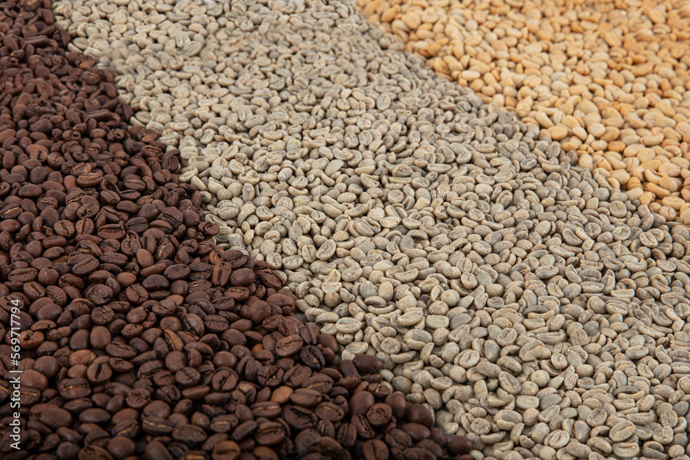 Collage of coffee beans showing various stages of roasting Italian ...