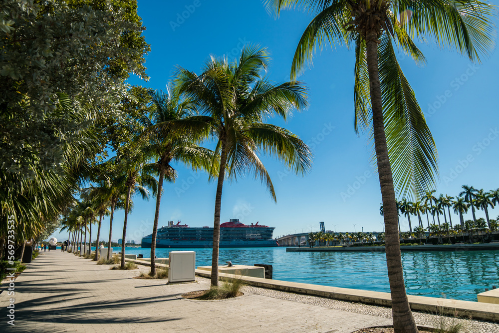 tropical palm tree with sun light on sky background. Beautiful sunset ...