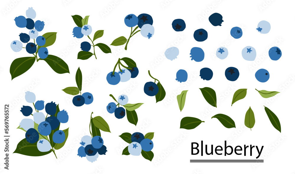 blueberries Stock Vector | Adobe Stock