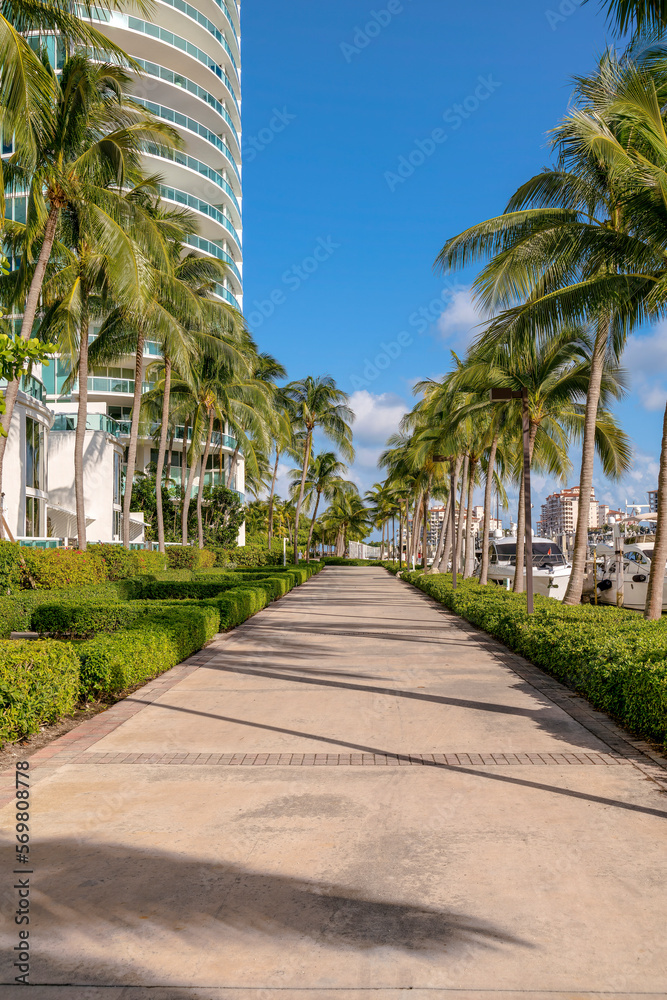 Pathway with bushes and coconut trees along the sidelines at Miami ...
