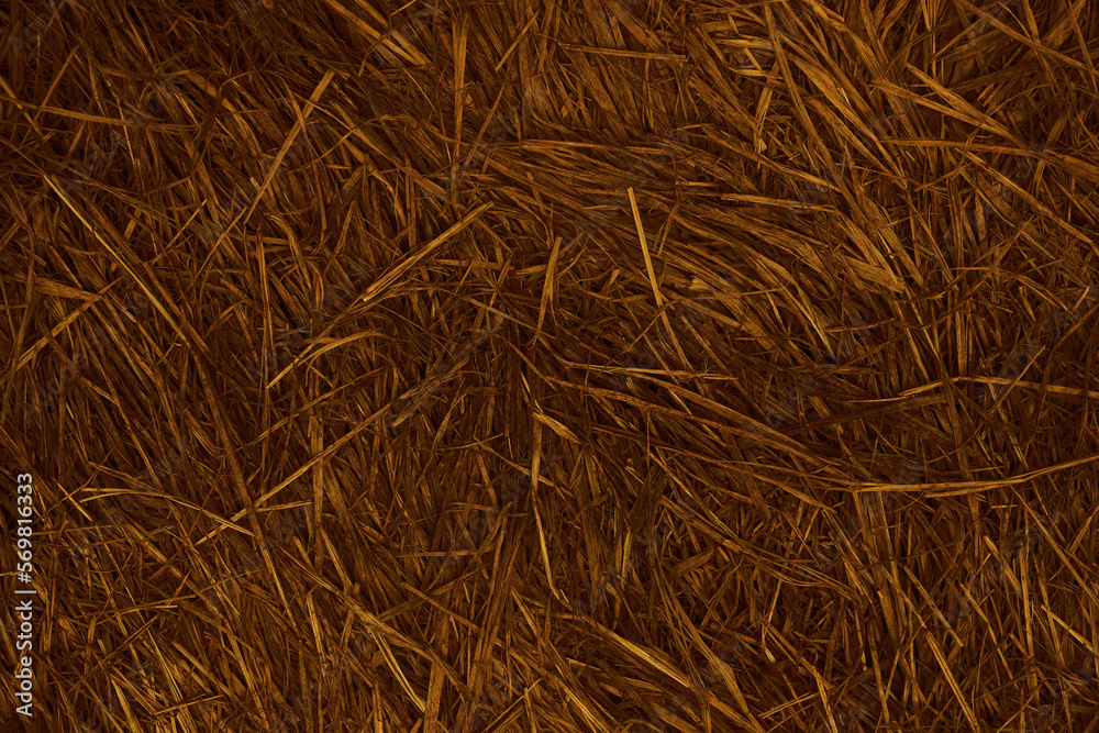 top view background of Texture of trampled, dry grey grass dried from ...