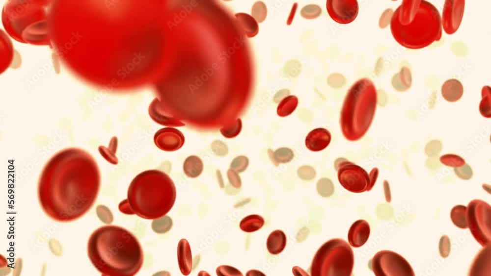 Red blood cells in an artery platelets 3d animation Bloods Flowing ...