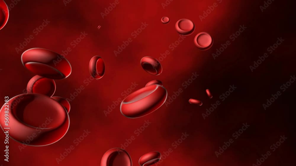 Red blood cells in an artery platelets 3d animation Bloods Flowing ...